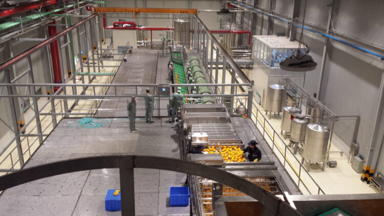 Batch Processing vs Continuous Processing in Food Manufacturing